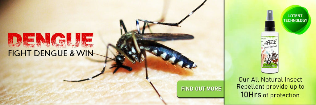 3 Best Types of Mosquito and Insect Repellents in Singapore – Nature's ...