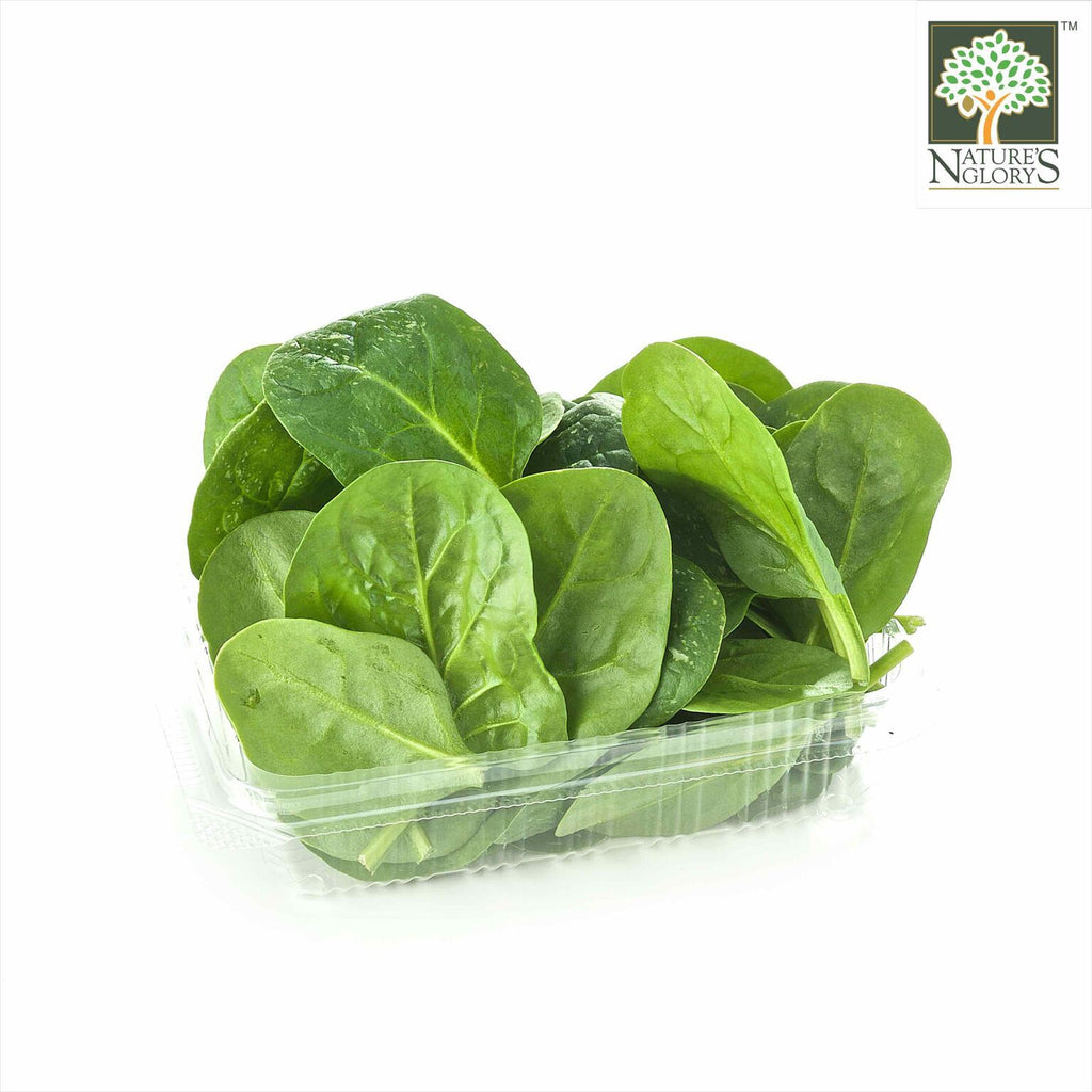 Baby Spinach Australia Organic (NA 8131P) - Nature's Glory Singapore