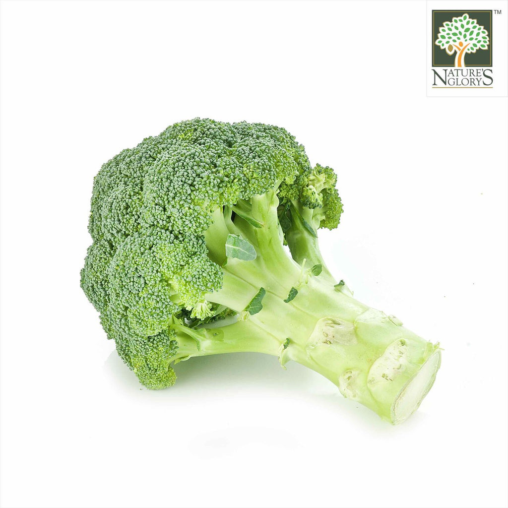 Broccoli Australia Organic (NA 8131P) - Nature's Glory Singapore
