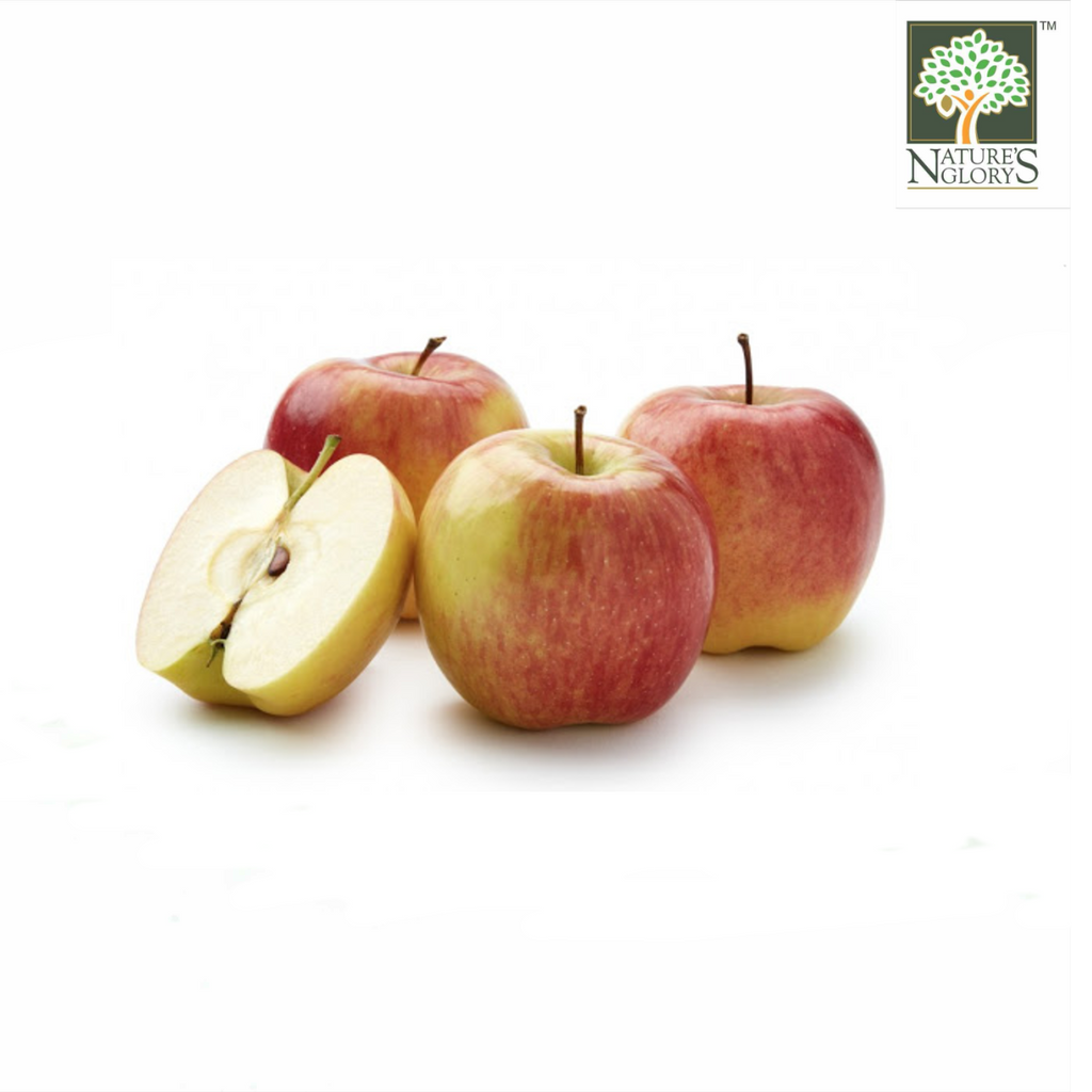 Organic Ambrosia Apple US 1 pkt (5pcs) – Nature's Glory