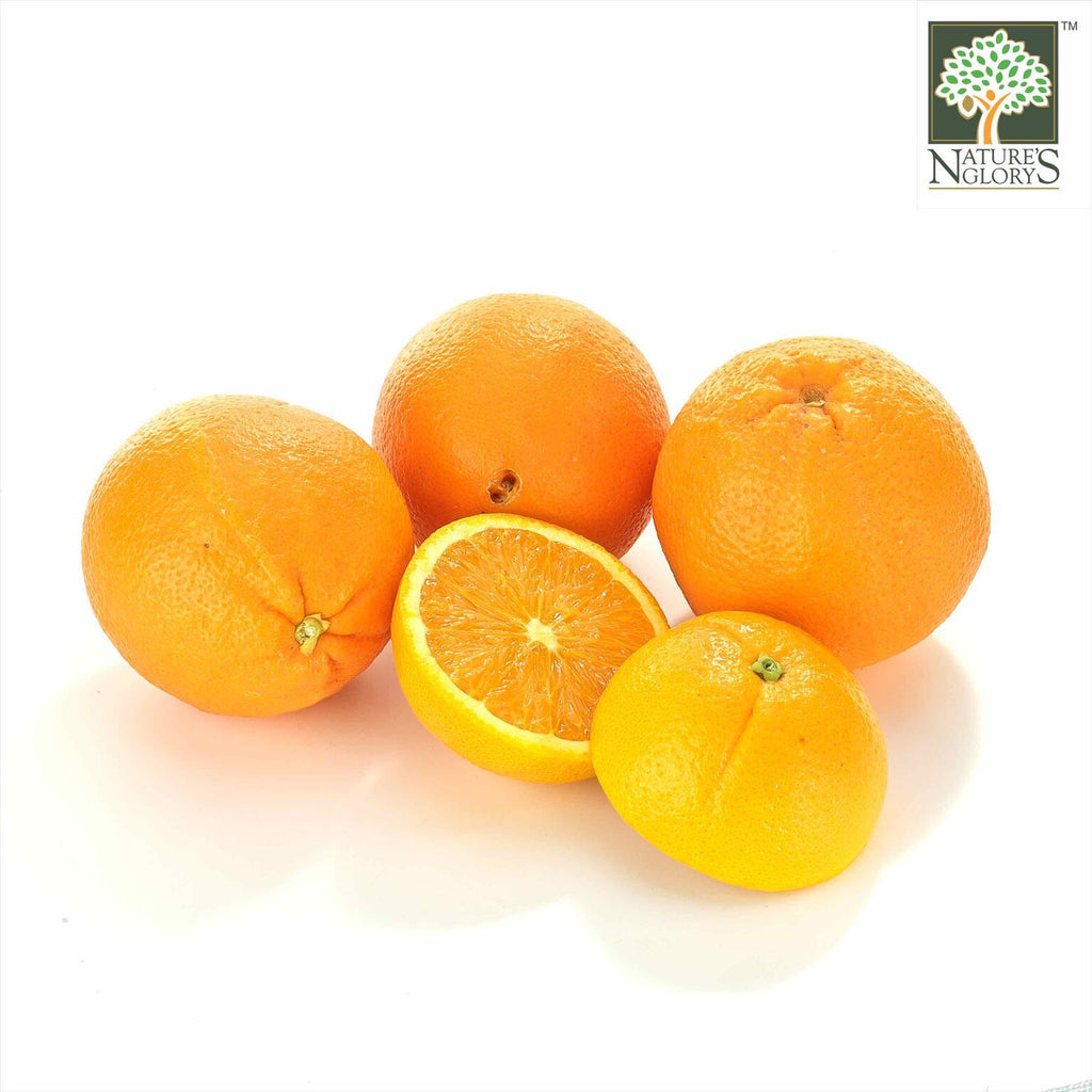 Orange (Navel) Australia Organic Fruit (NA 8131P) - Nature's Glory ...