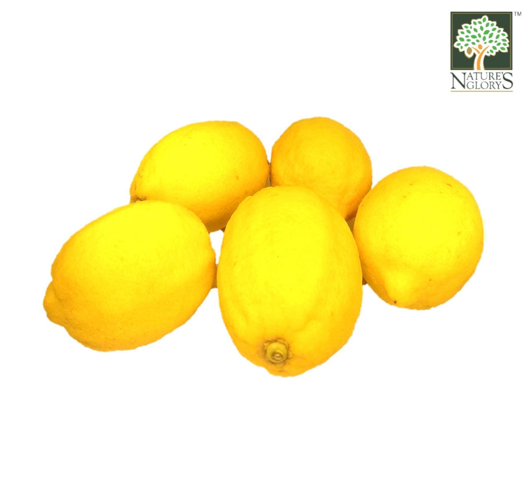 Organic Lemon, USA Fresh Fruit - Nature's Glory Singapore