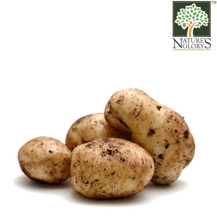 Potato (Sebago) Australia Organic - Nature's Glory Singapore