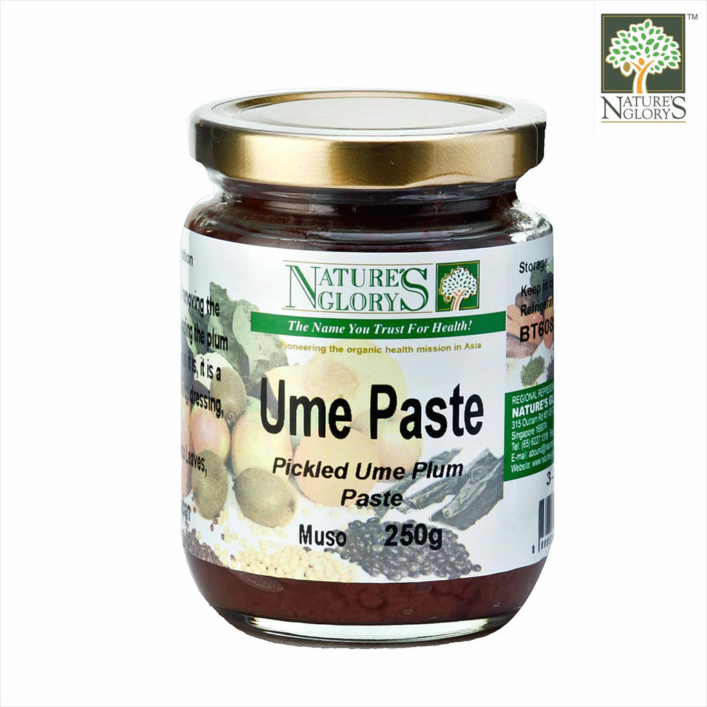 Ume Paste - Pickled Ume Plum Paste 250g - Nature's Glory Singapore