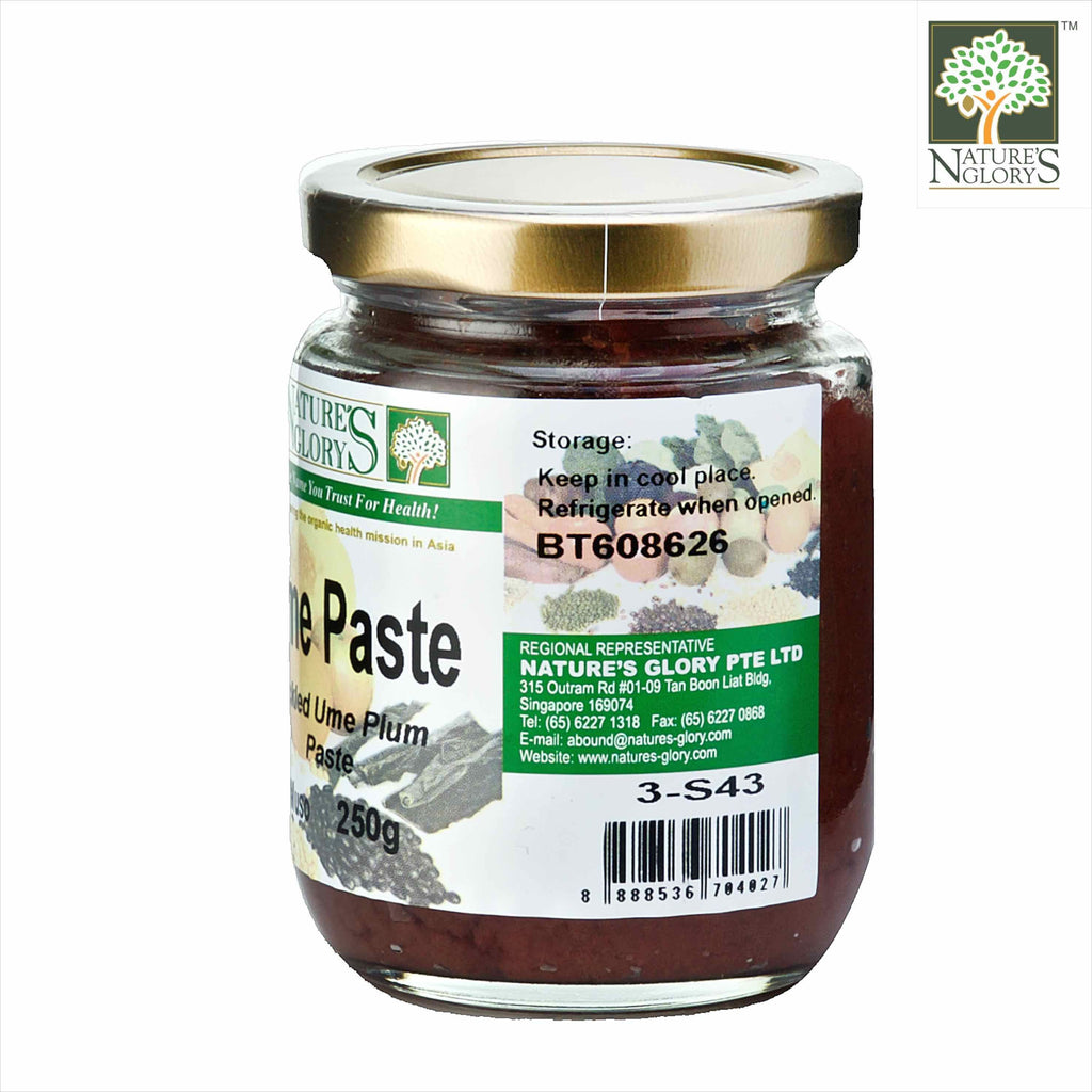 Ume Paste - Pickled Ume Plum Paste 250g - Nature's Glory Singapore