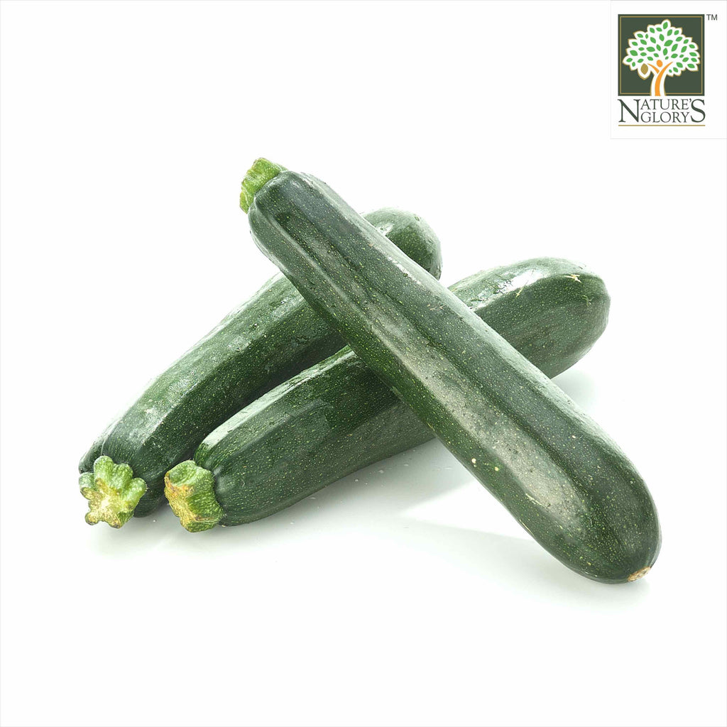 Zucchini Australia Organic (NA 8131P) - Nature's Glory Singapore